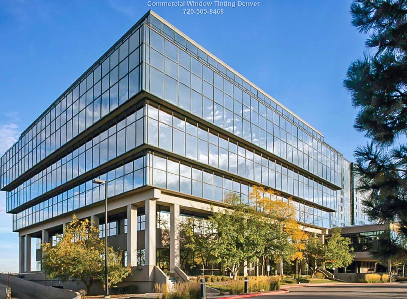 Commerical Window Tinting Lakewood | Commercial Window Tinting Denver